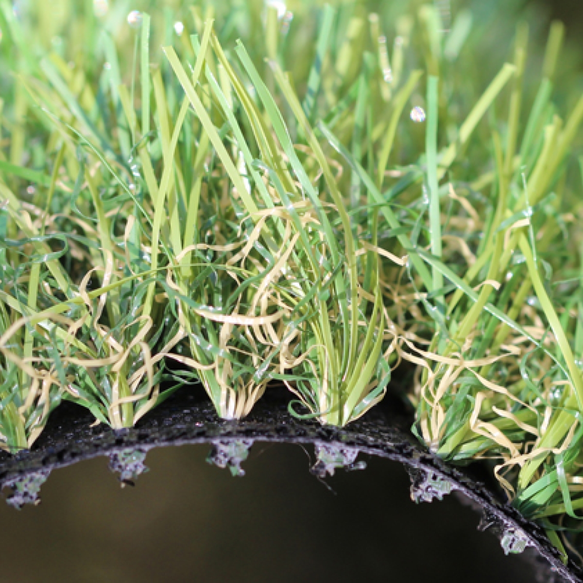 Pro Syn-Turf: SiteOne?s Premier Brand of Artificial Grass